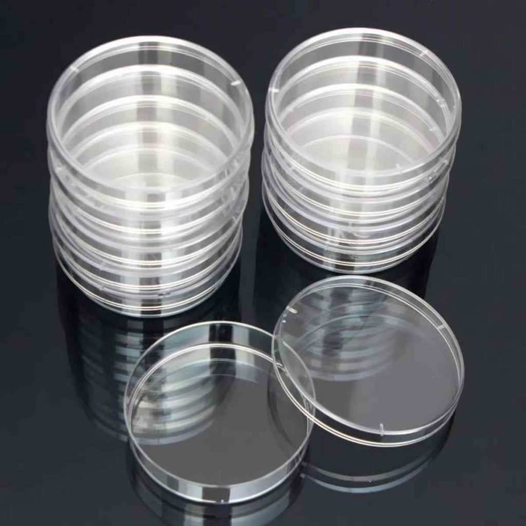 Đĩa petri | Nguồn gốc đĩa petri | Lịch sử đĩa petri | Petri dish | CT ...